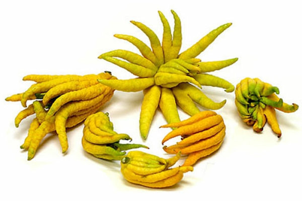 Exotische Früchte - 20 der ausgefallensten Früchte und Gemüsearten