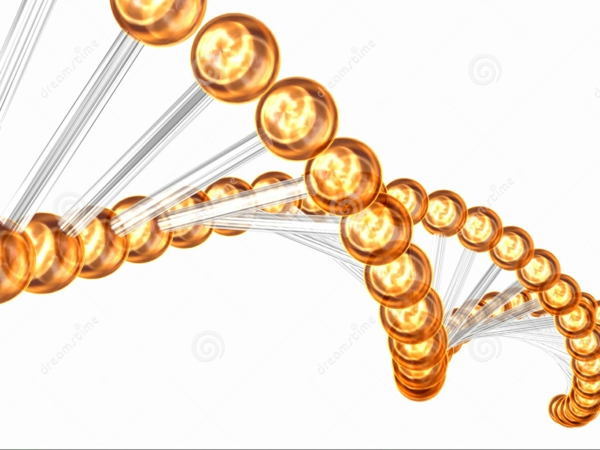 Genetischer Code des Reichtums - finden Sie den Weg zum Wohlstand