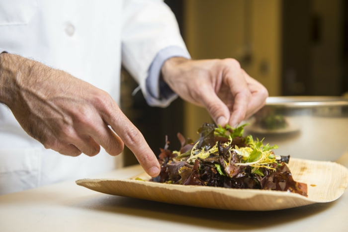 Algen essen und gesund bleiben - Wissenswertes über die Algen