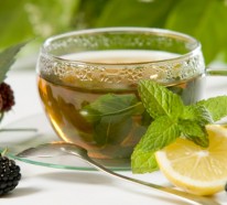 Tee gesund: Über die Wirkung des Tees auf unseren Organismus