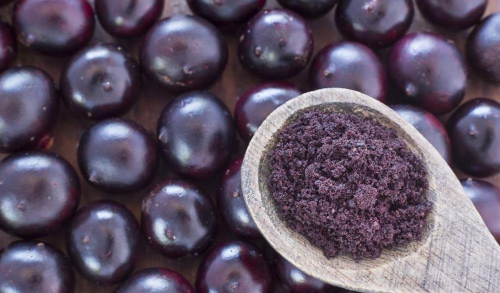 Die Acai Beere - Wie super ist dieses Superfood wirklich? - Freshideen