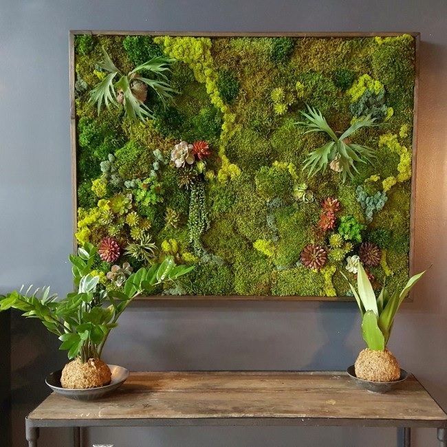 Moosbild selber machen – leichte DIY Anleitungen, Bastelideen und Tipps ...